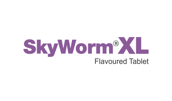 Skyworm Tablets - SkyEc Pharma